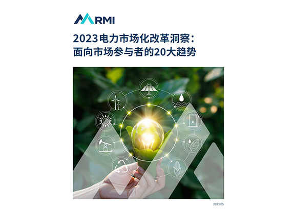 2023电力市场化改革洞察： 面向市场参与者的20大趋势 - 落基山研究所（RMI)